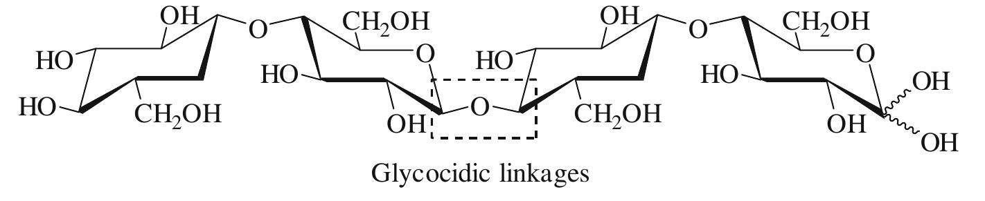 12 chemical structure of cellulose polymer chain
