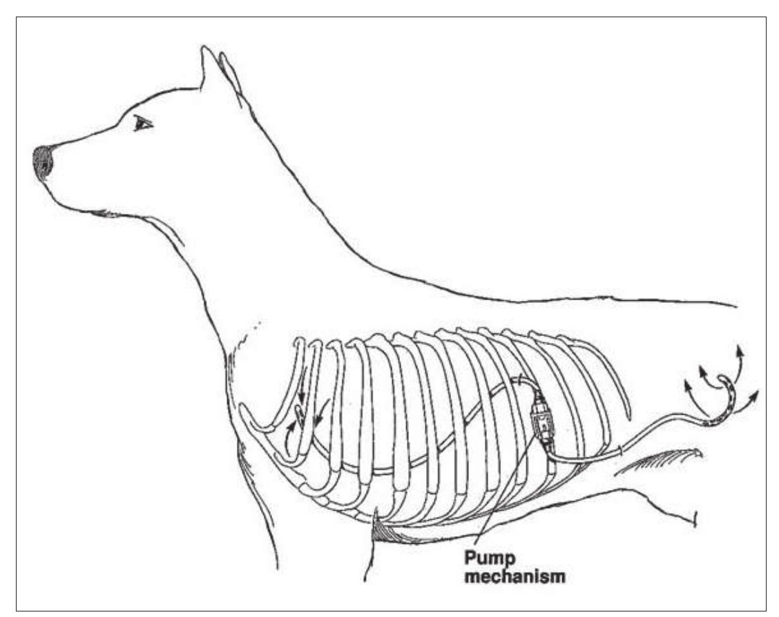 Schematic diagram showing positioning of a denver