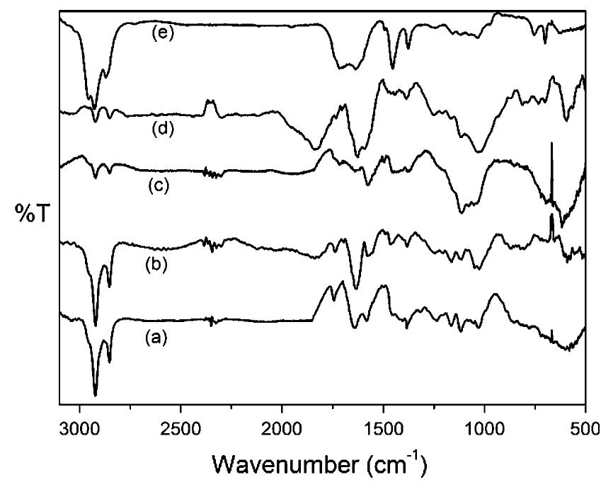 Shows the ft-ir spectra of the pure gr, pure mwcnt, pfu/gr,