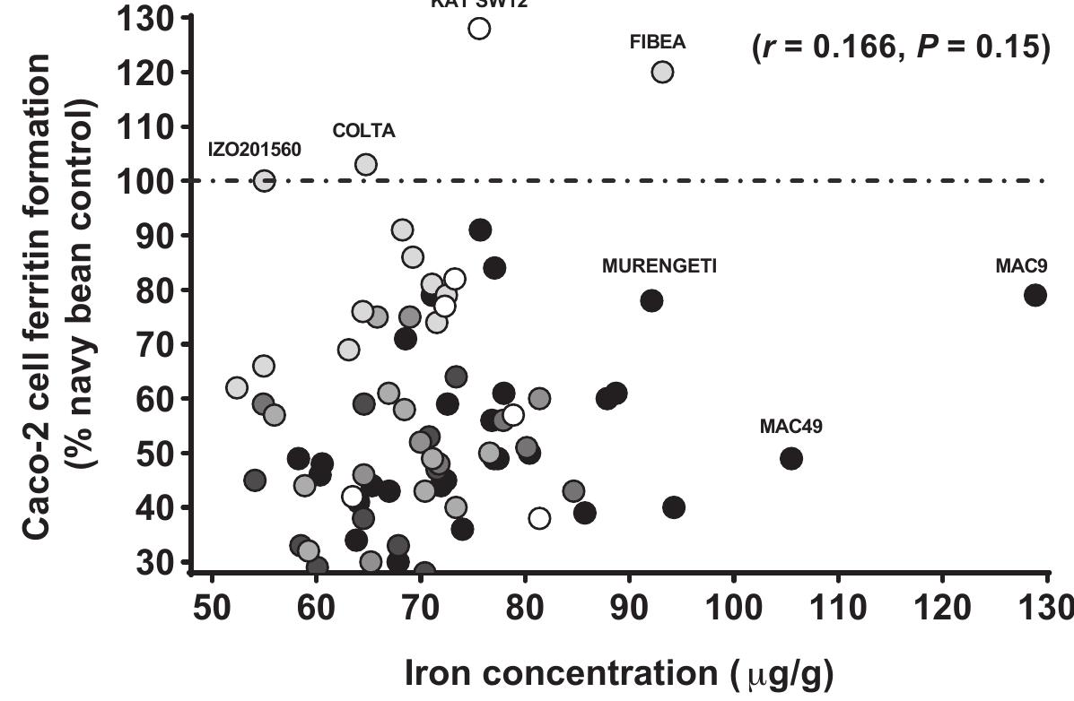 Scatter plot depicting the relation between raw bean iron