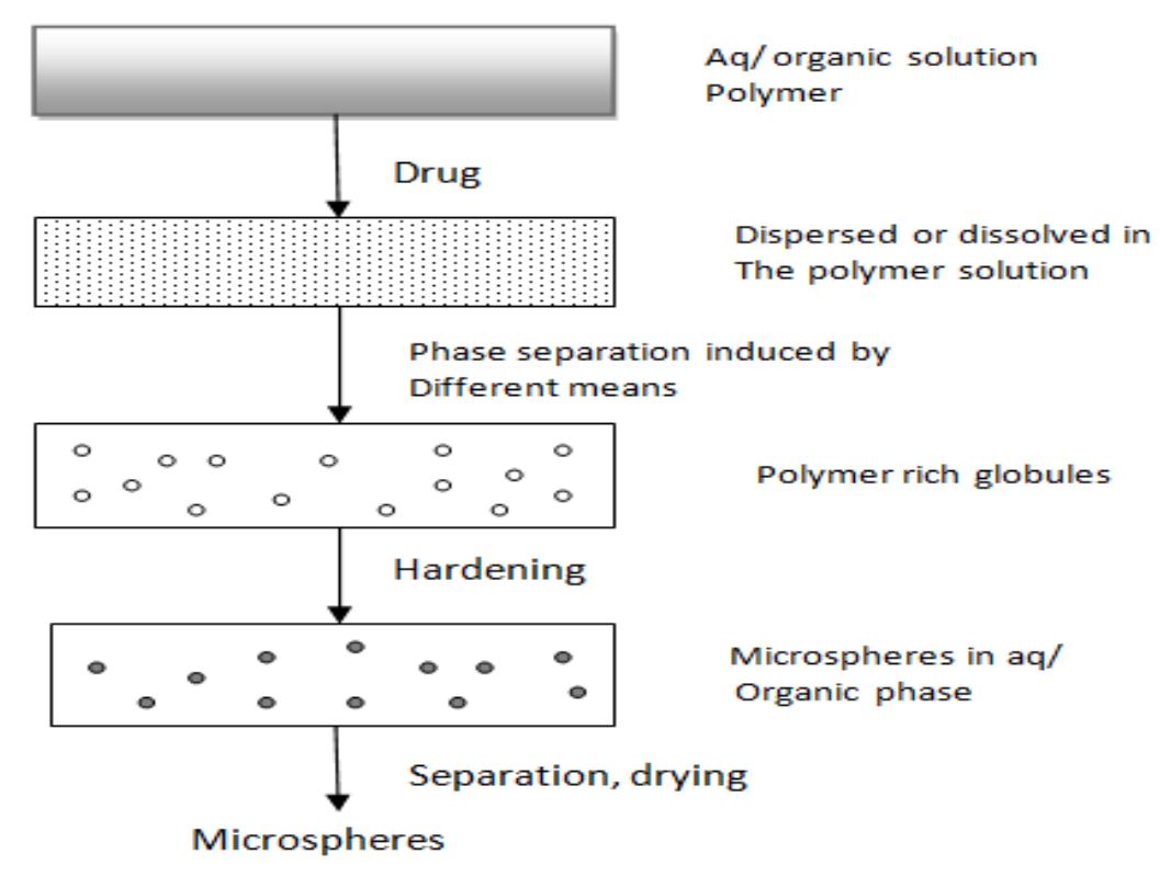 Schematic representation of microspheres formulation by