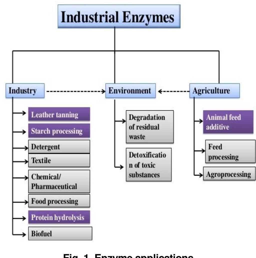 Process of dispersion of insoluble starch granules in