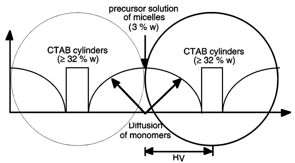 Schematic drawing of the ctab concentration profile during
