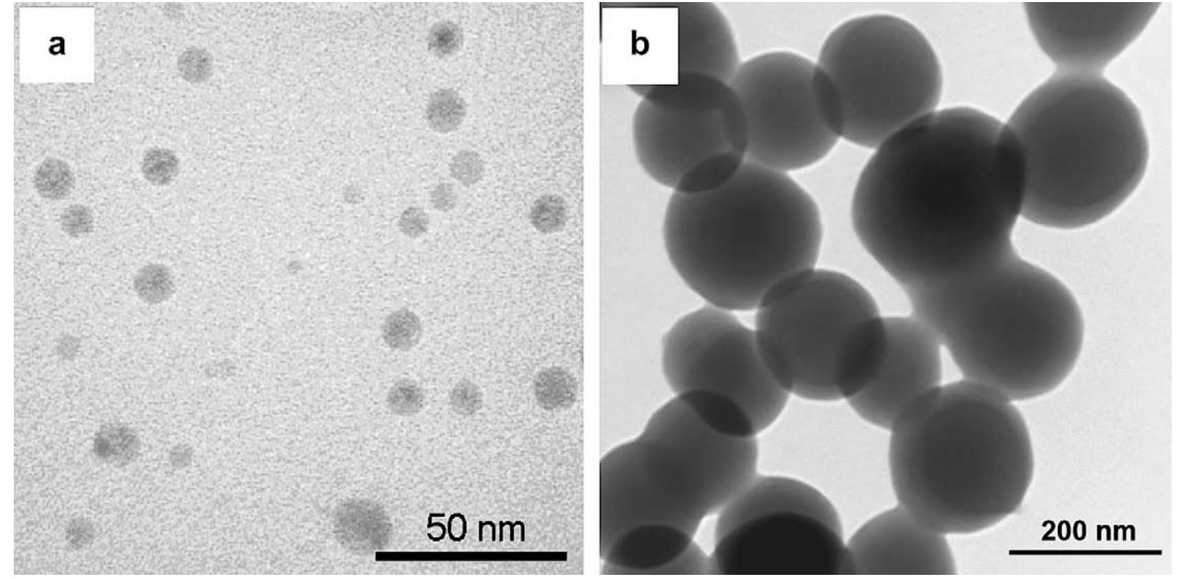 Typical tem images of the g2 copolymer at the copolymer