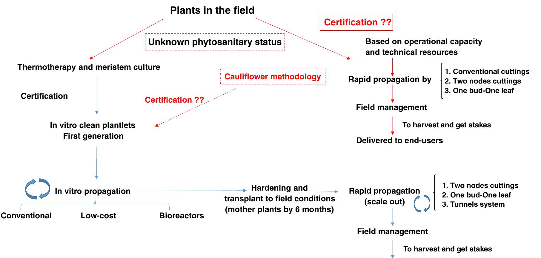 Flowchart for decision making on propagation methods for