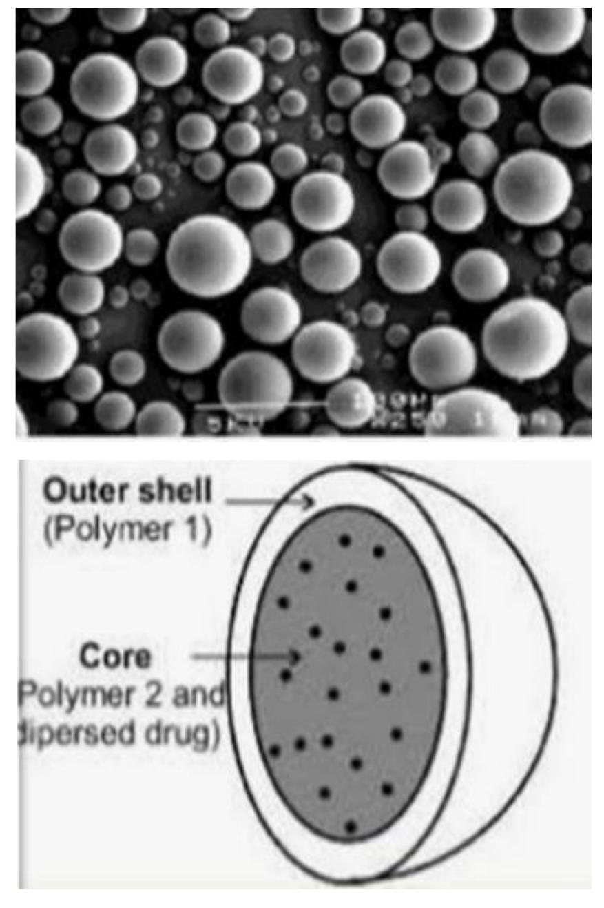 Microspheres*