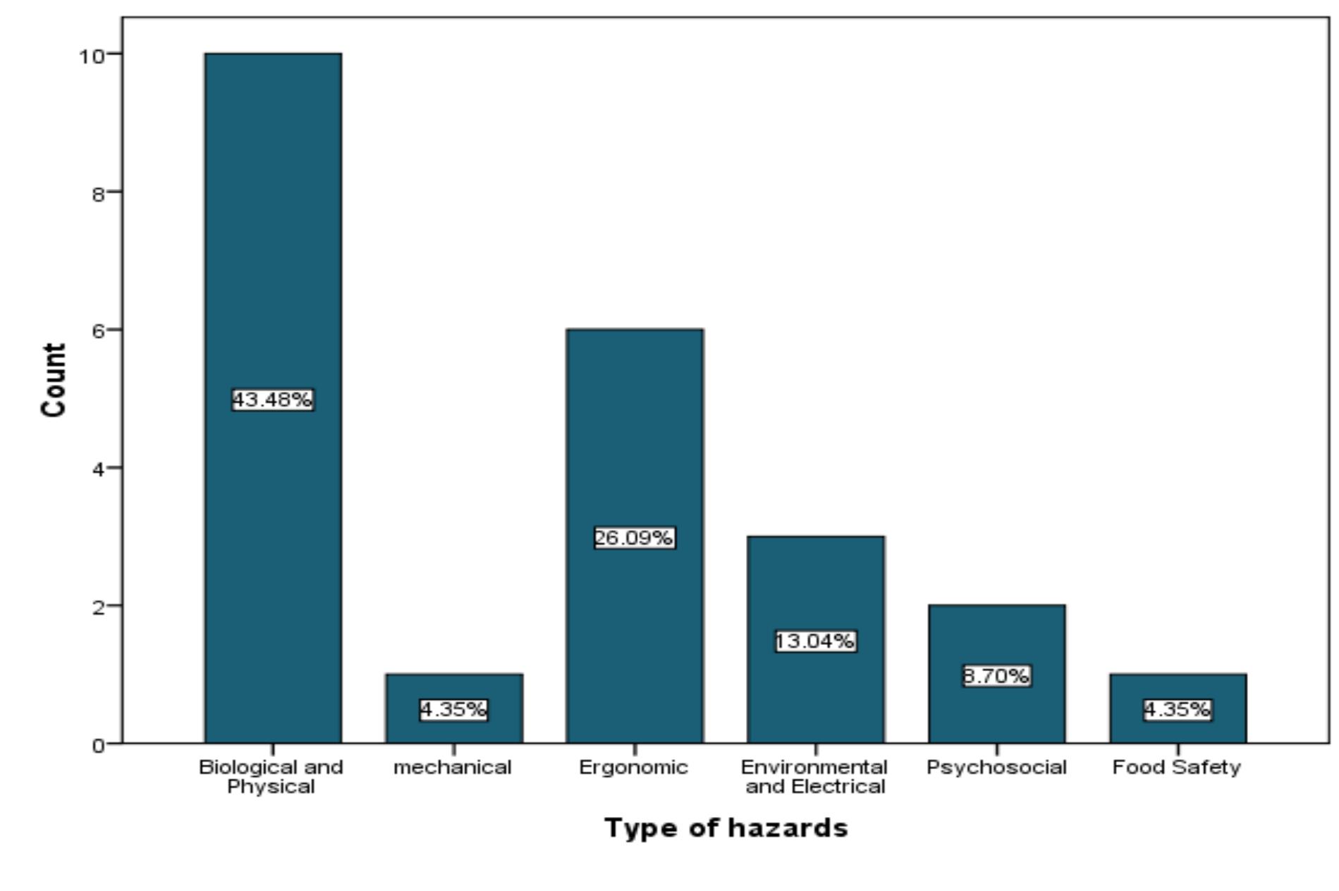 Types of identified hazards at the municipal abattoir
