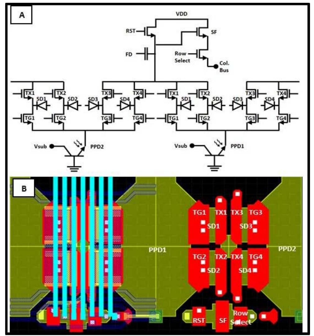 Pixel (a) schematic and (b) layout. for clarity, the layout