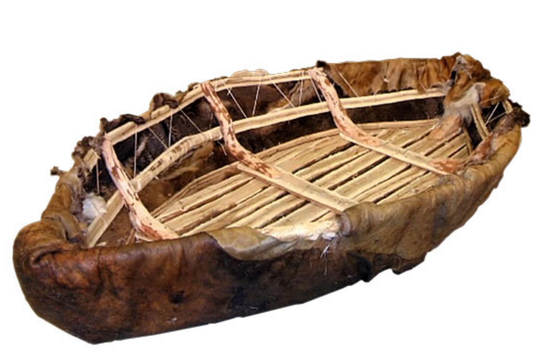 Skin boat: angyaqatak bear skin boat made 2007 by joe spein