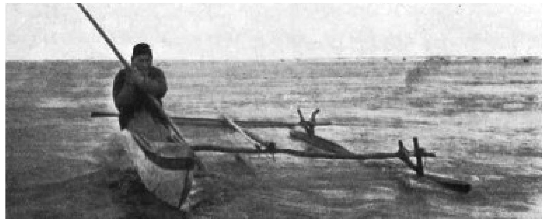 Logboat: type of typical simple outrigger logboat from cook