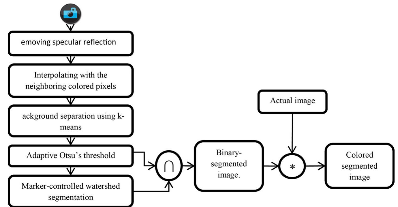 Flowchart for image segmentation process.