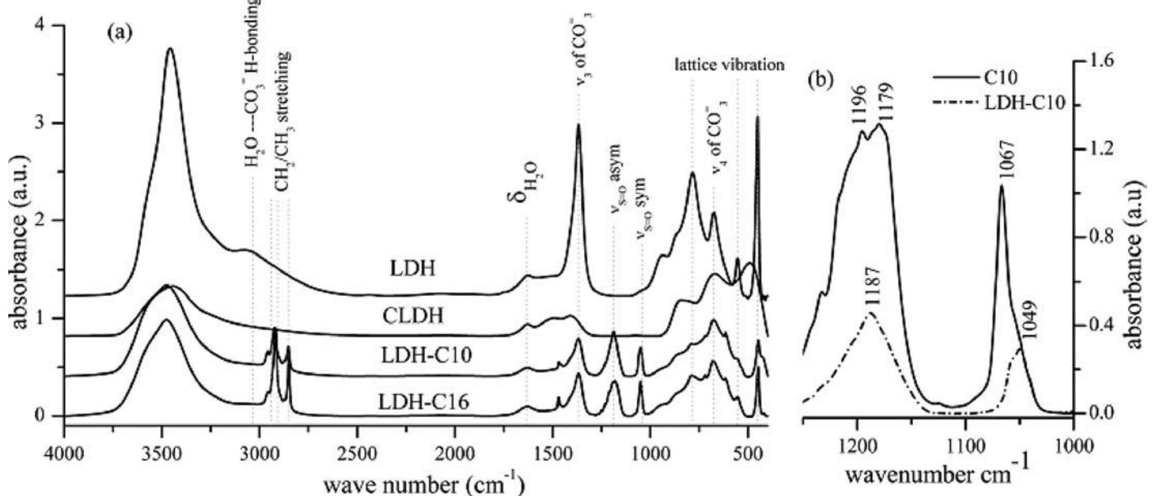 Ftir spectra of (a) ldh, cldh and ldh-c10 and ldh-c16 and
