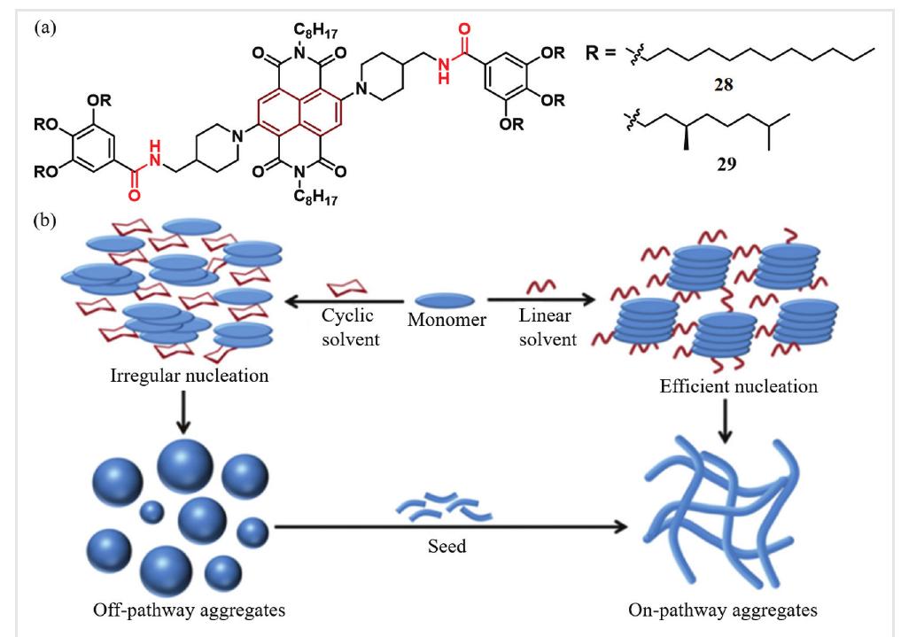 (a) chemical structures of achiral (28) and chiral (29) cnd