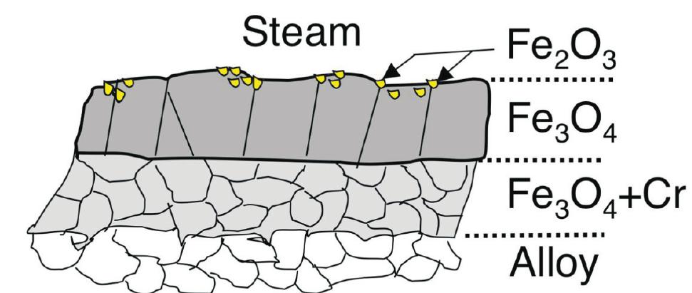 Schematic representation of a cross-section of scale formed