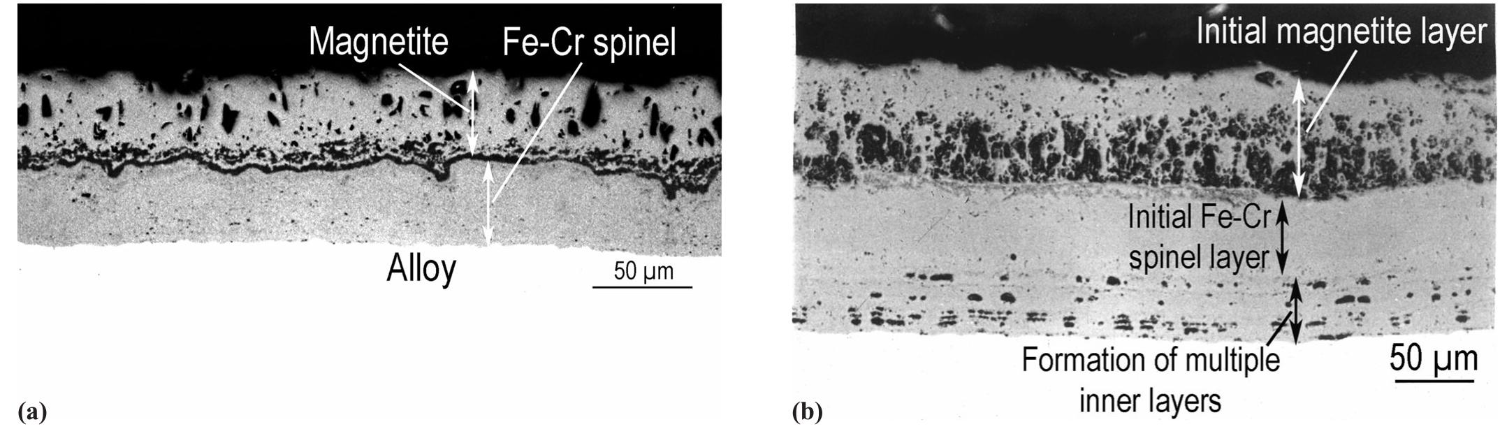 Cross-sections of scales formed on t22 showing (a) initial