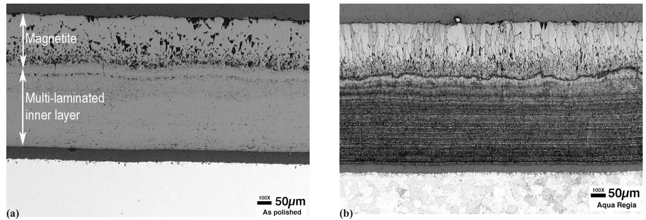 Cross-sections of a fully-developed, 560 tim-thick adherent