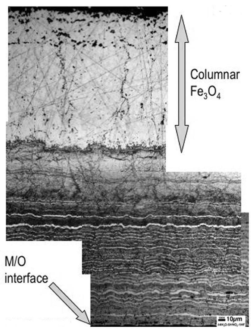 Montage of optical cross-sections showing details of the