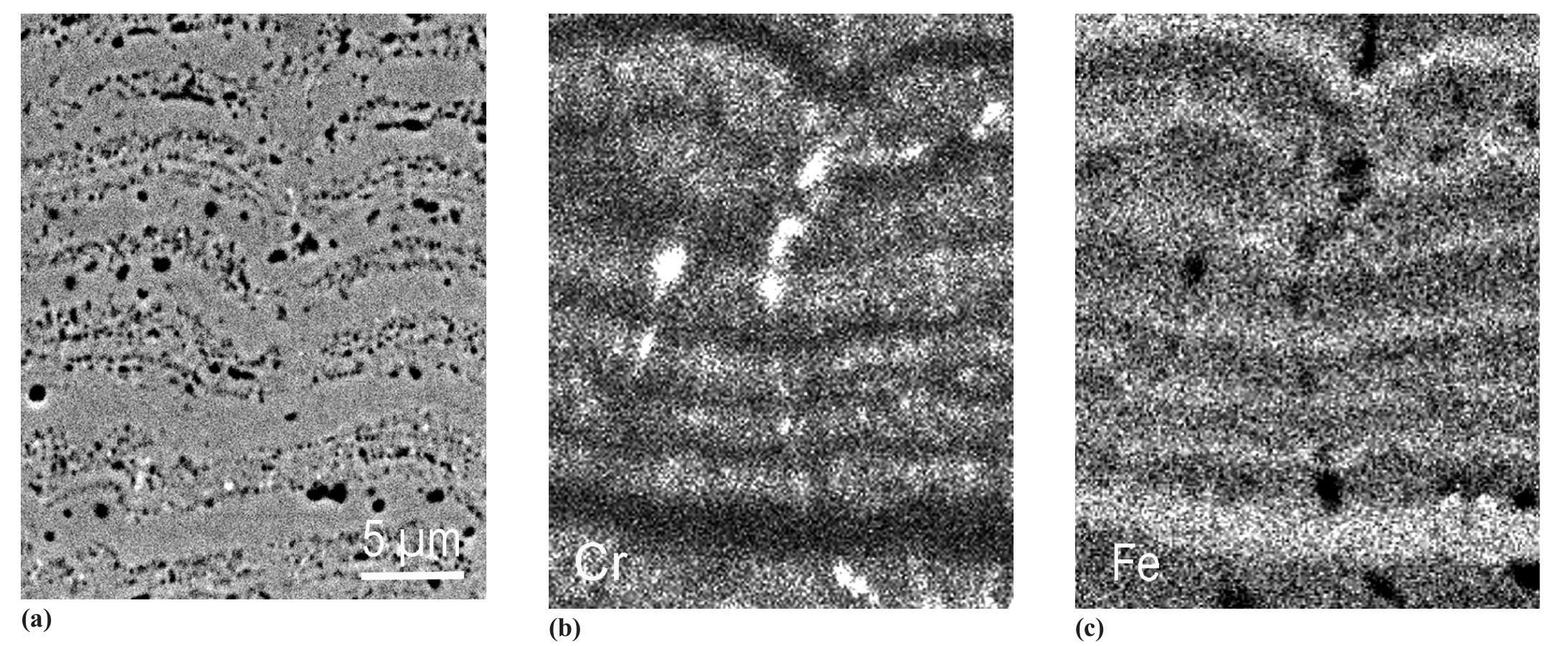Sem images of part of the inner layer formed on t22: (a)