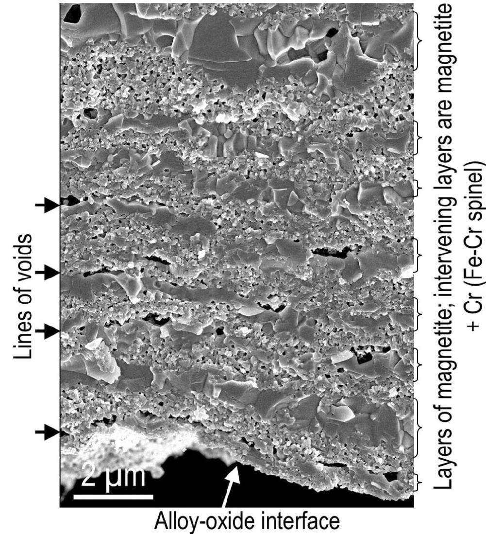 Sem secondary electron (se) image of a fracture section of