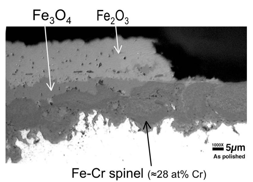 Optical cross-section of tp347hfg after 11kh at 670°c,