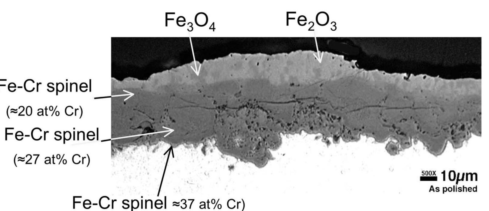 Optical cross-section through a scale with a completed