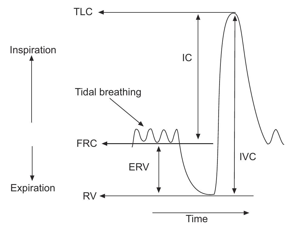 Figure 9 - Standardisation of spirometry
