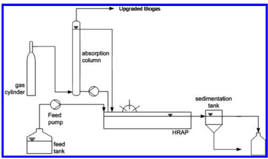 Schematic diagram of the continuous biogas upgrading