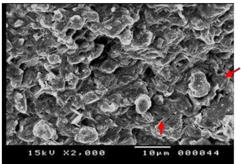 The crystals of sodium chloride salts inside the pores of