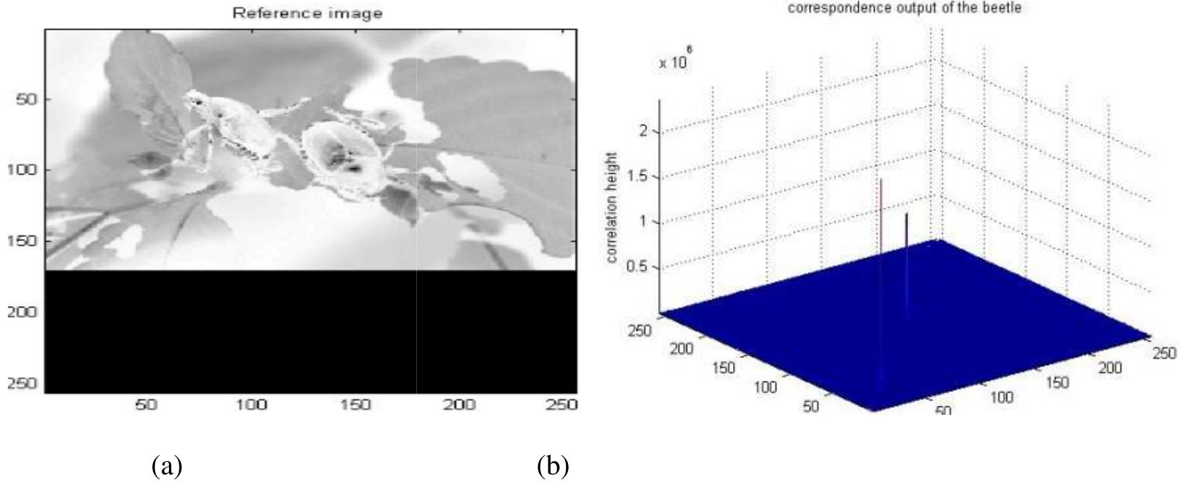 Figure 8 - Automatic plant pest detection and recognition