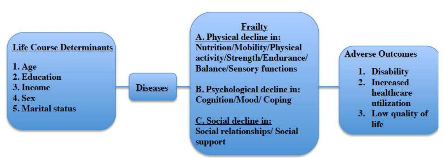 The adapted integral model of frailty to validating the tfi