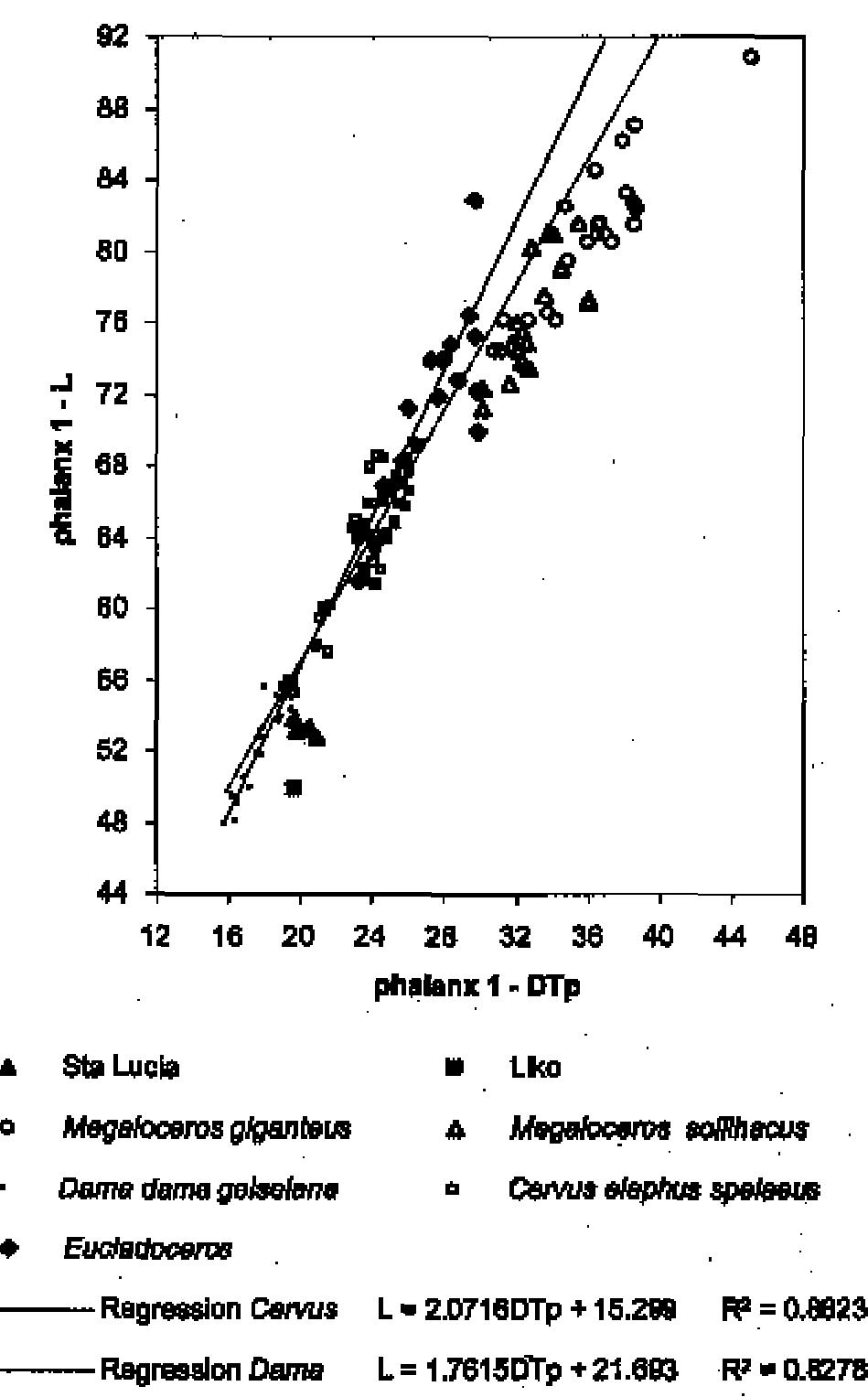 Figure 16 - from Megaloceros sardus n. sp., a large deer