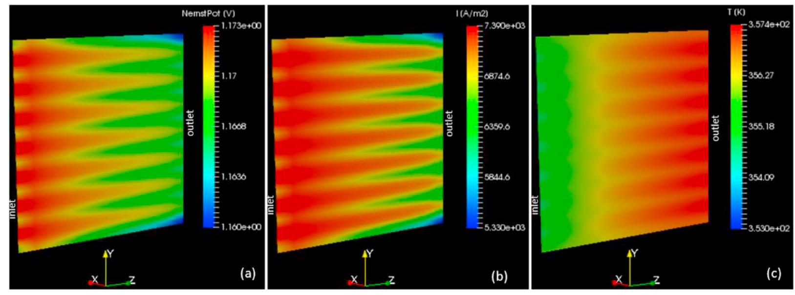 Membrane cathode interface showing the distribution of (a)