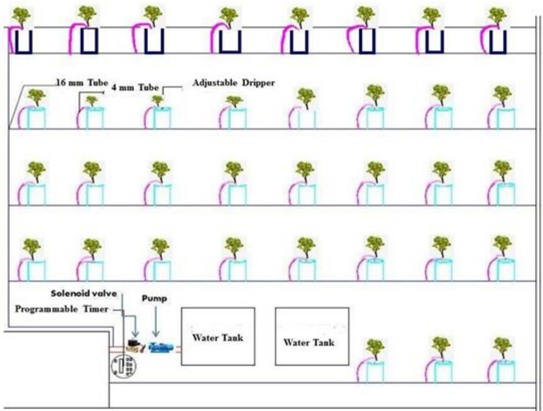 Layout of smart irrigation system for rooftop garden.