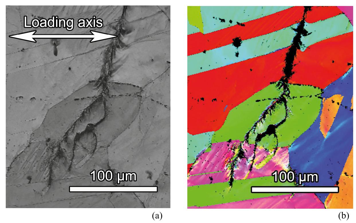 Longitudinal section of the specimen subjected to op-tmf