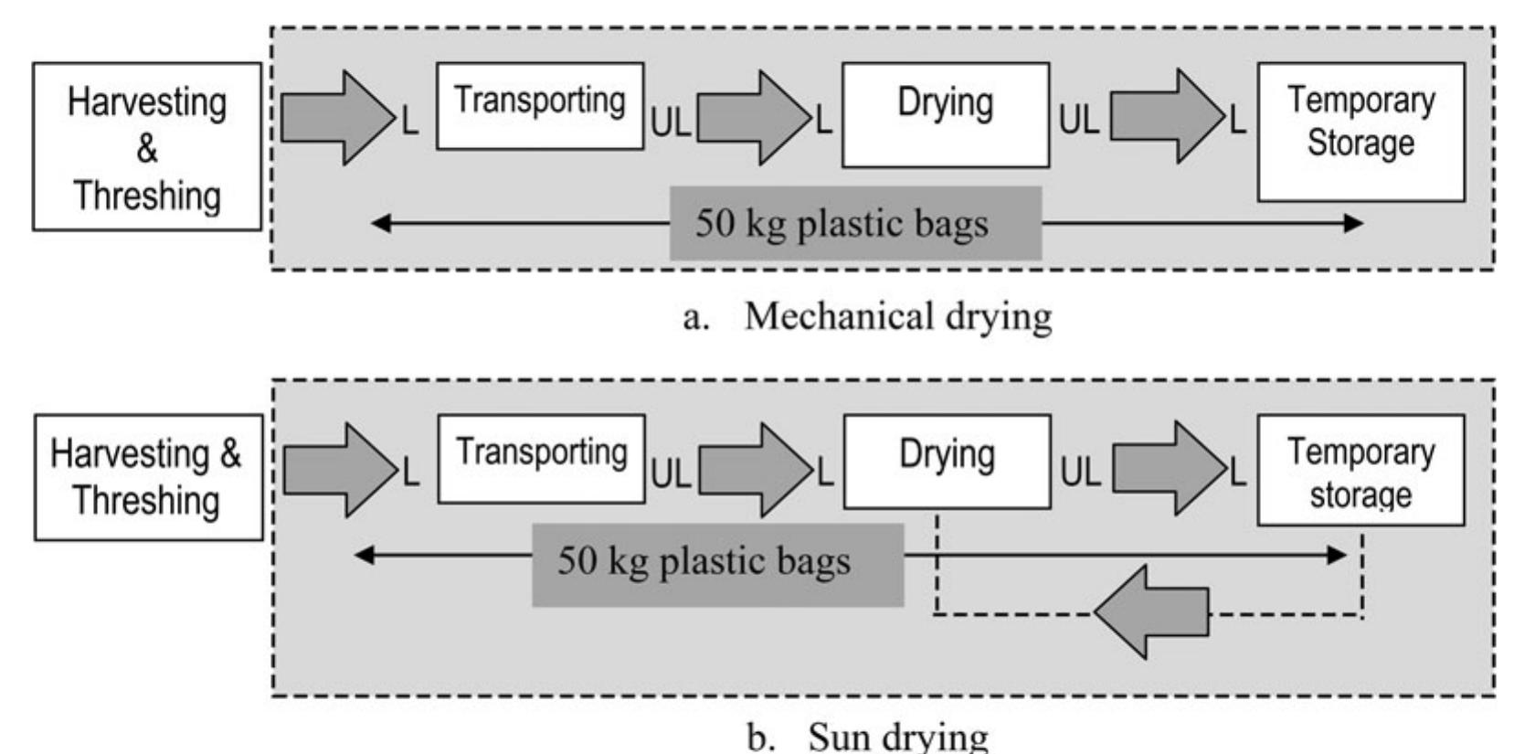 (PDF) Re-engineering the paddy rice drying system in the Philippines ...