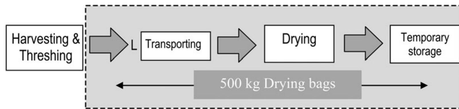 (PDF) Re-engineering the paddy rice drying system in the Philippines ...
