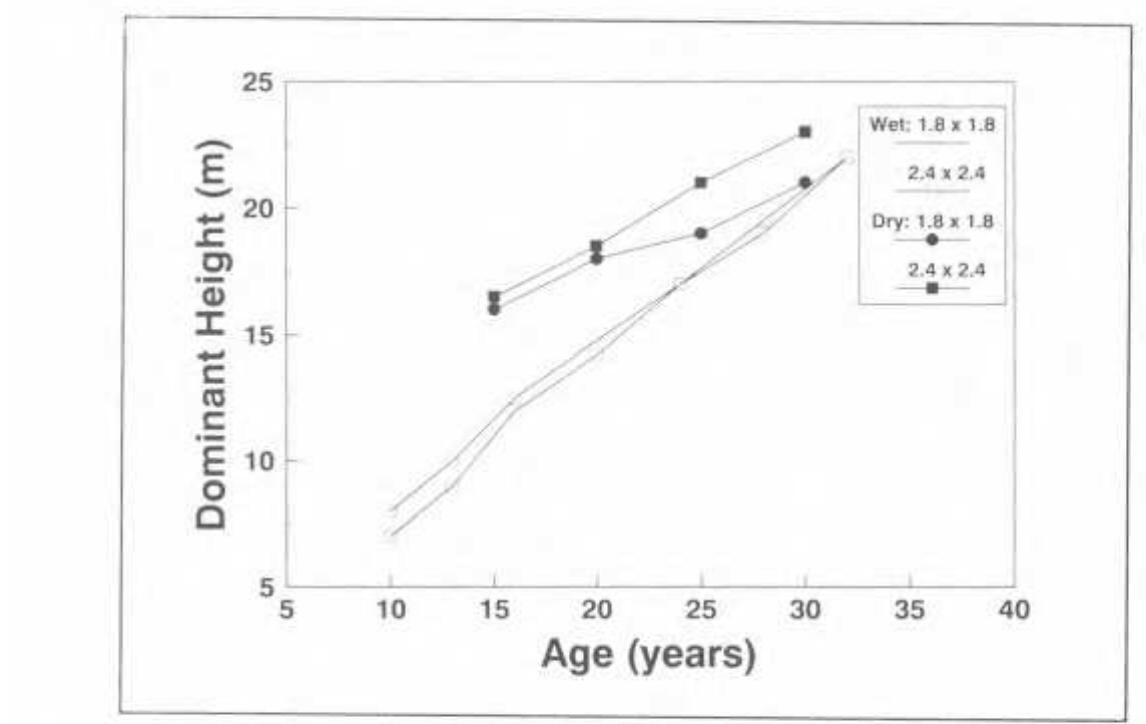 10. relationship between planting spacing and dominant
