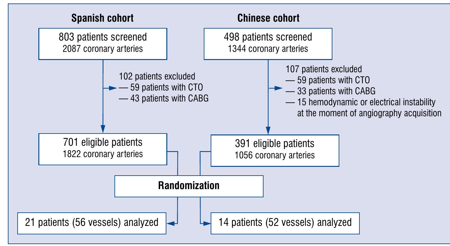 Flow chart; cabg — coronary artery bypass grafting; cto