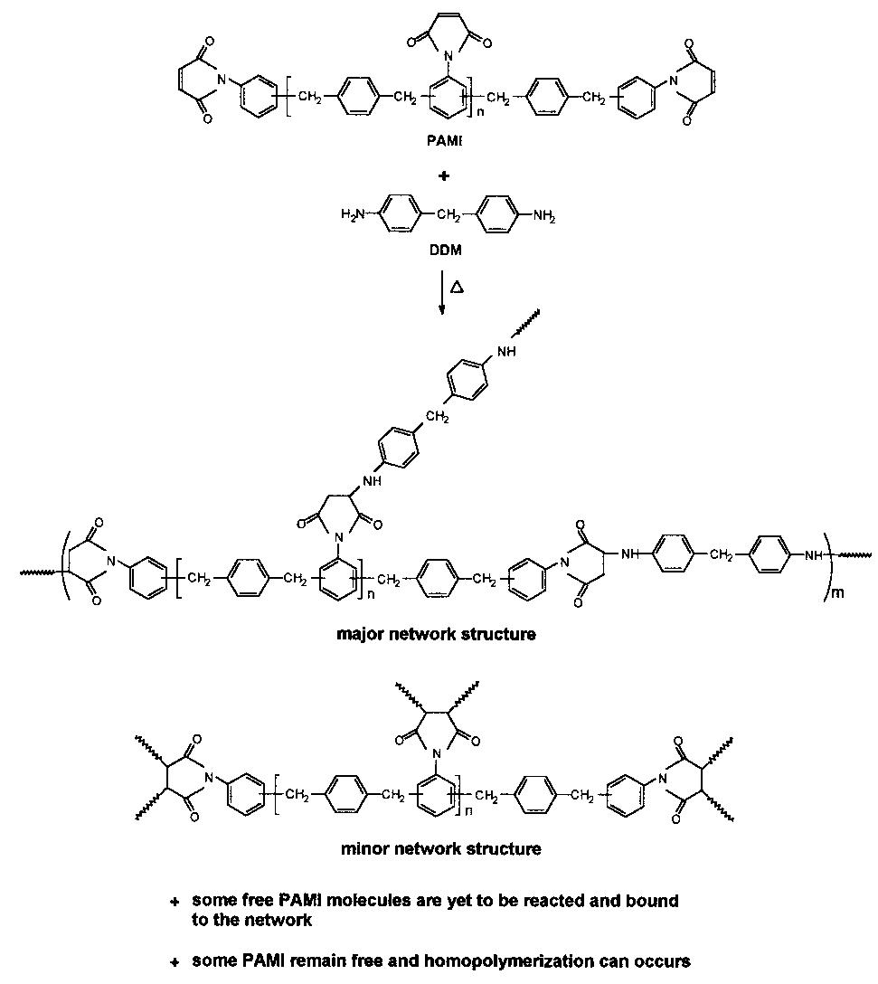 Schematic drawing of the final network structure showing the
