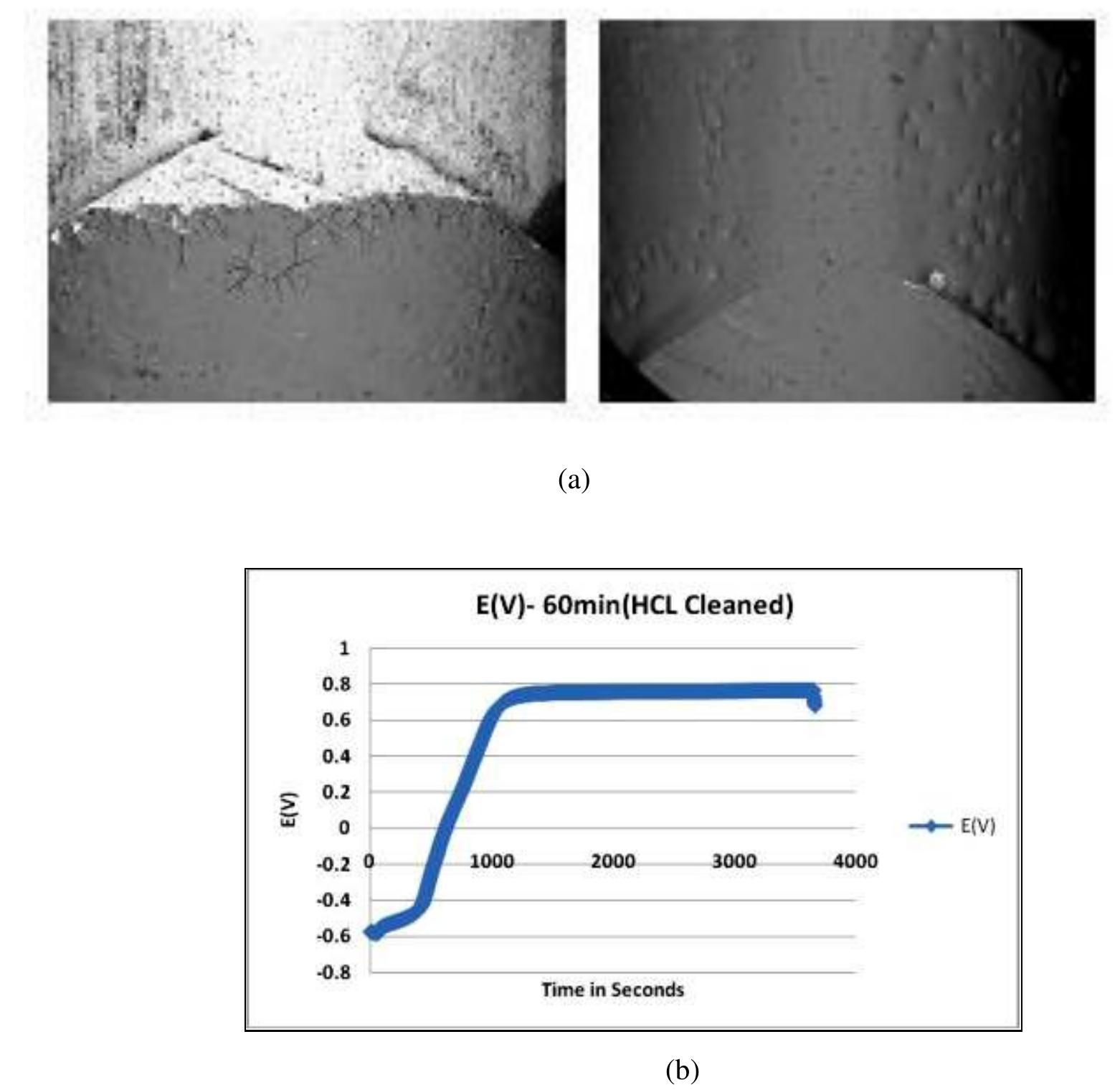 -42 sem images of — 60 minute electrochemical coating of