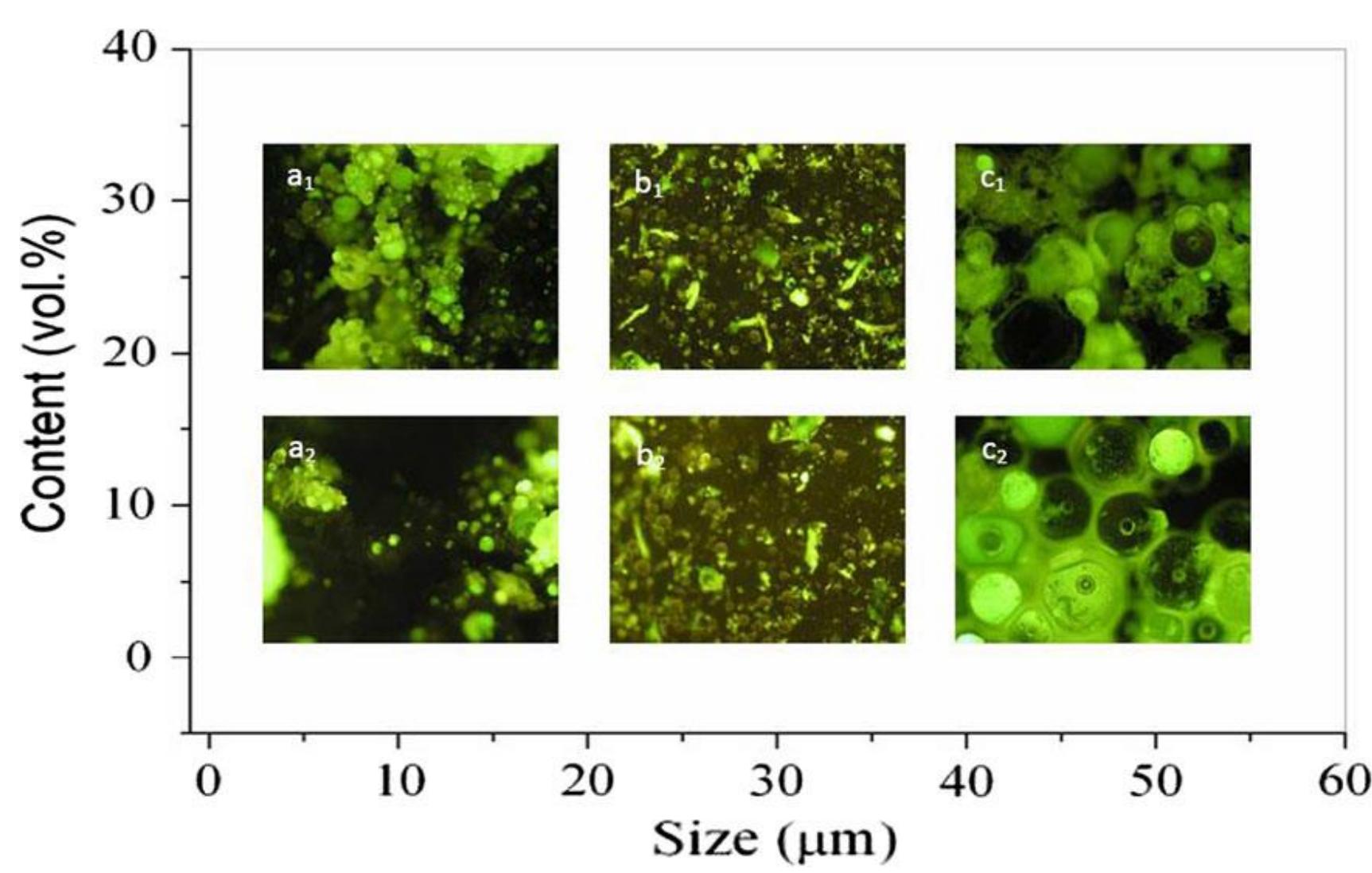 Fluorescence microscope morphologies of bitumen samples with