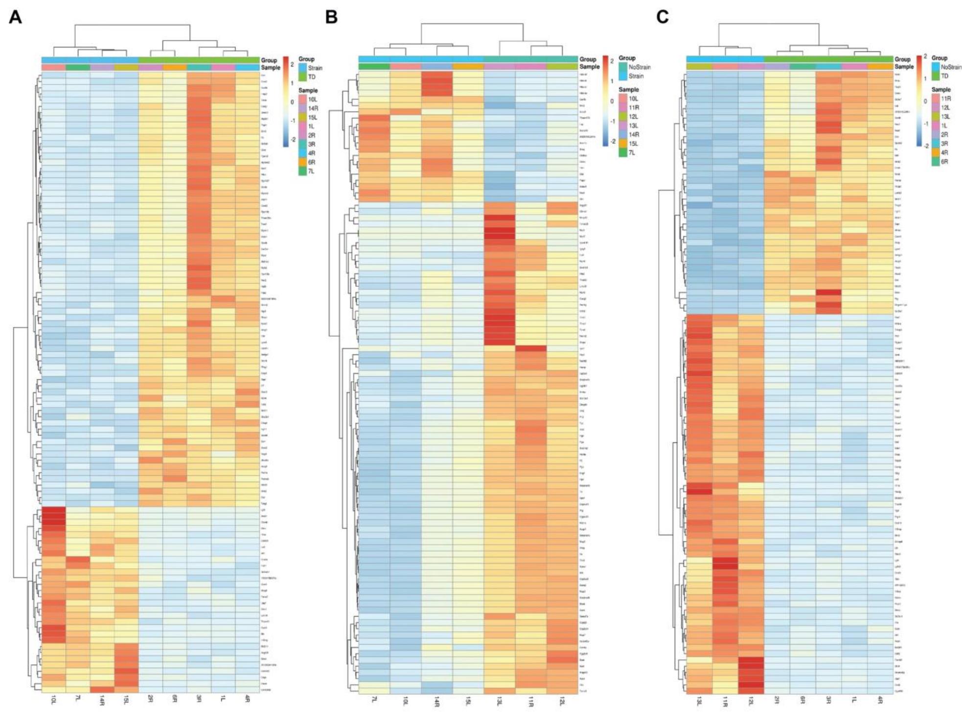 S22. visualization of rna sequencing results. (a-c) heatmaps