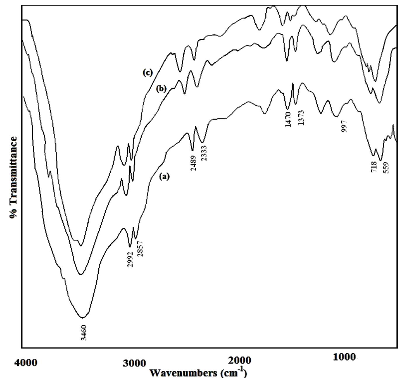 12: ft-ir spectra of pe synthesized from (a) pat1, (b) pat2