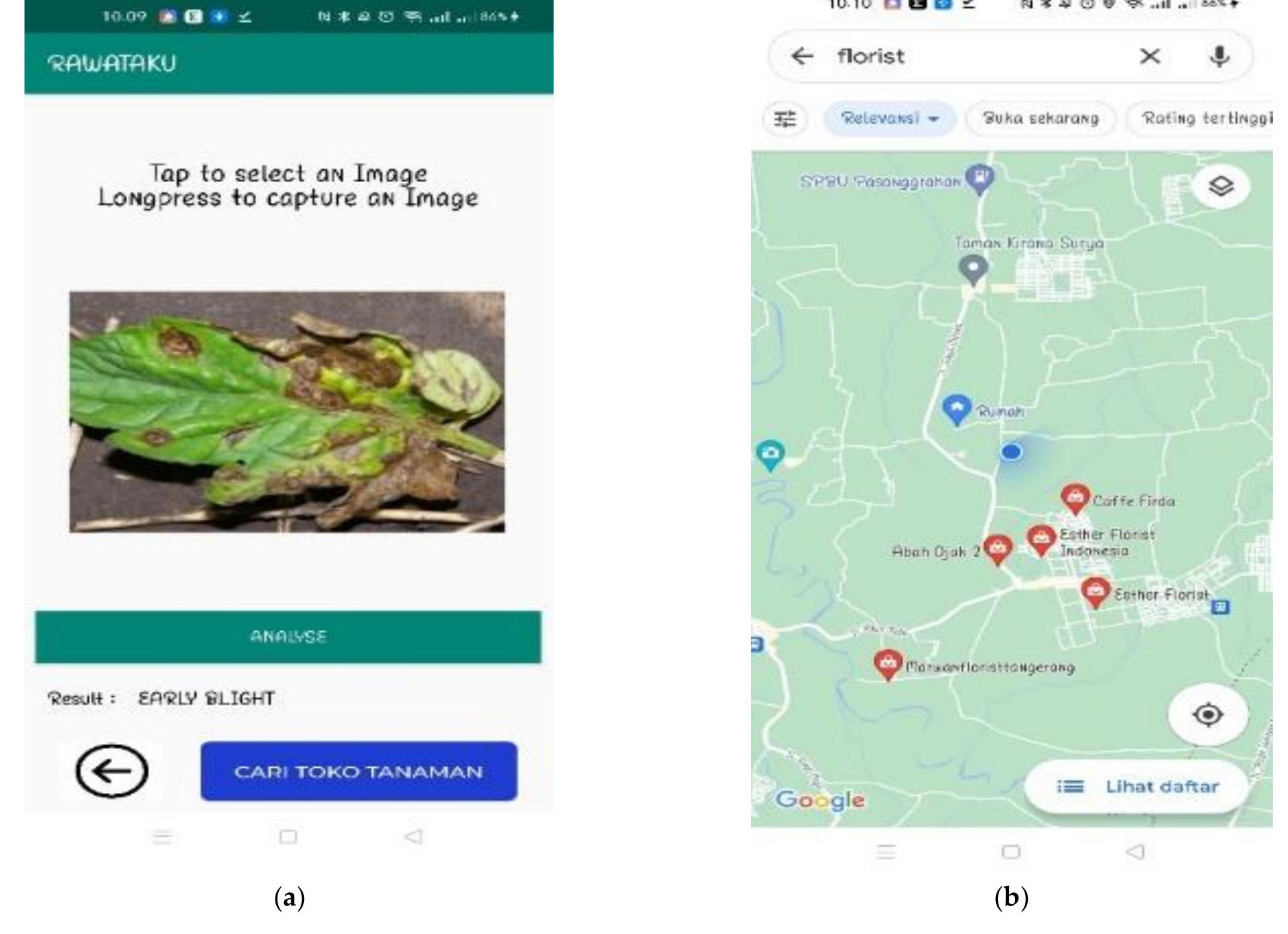 Figure 8 - AlexNet Convolutional Neural Network for Disease