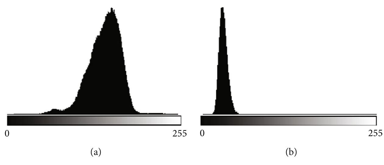 Histograms: (a) clear image and (b) dark image.