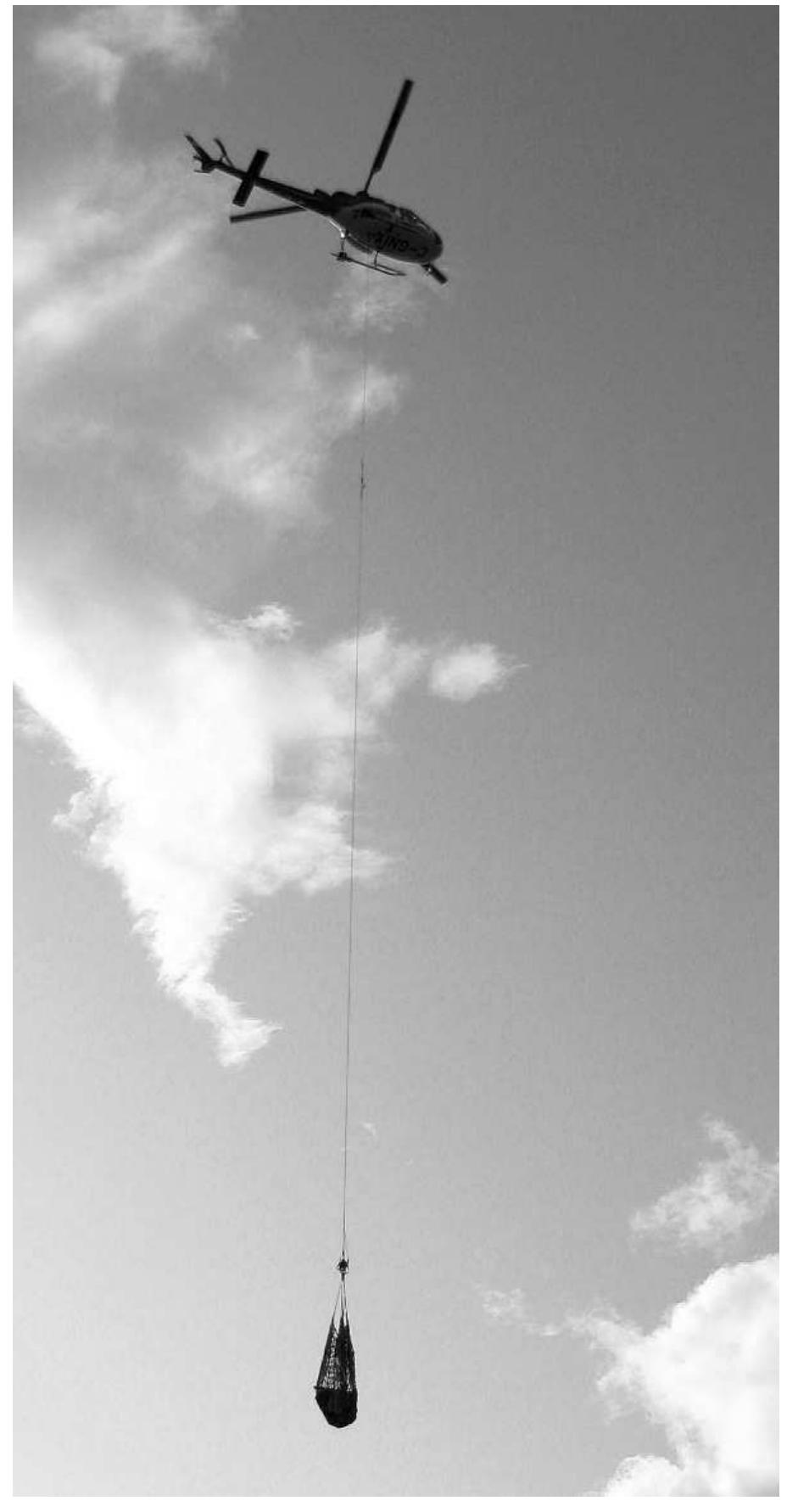 Figure 3 - from Dinosaurs take flight: A history of
