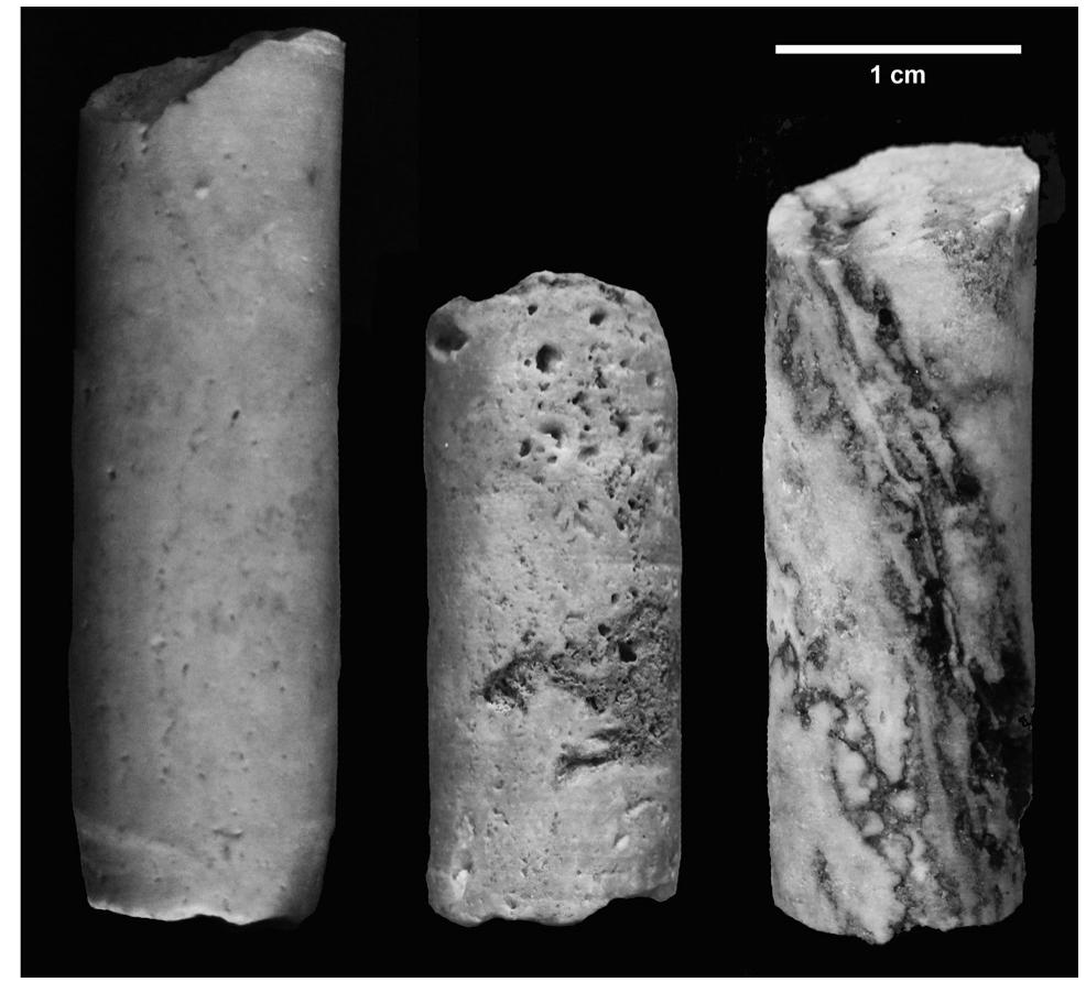Core samples of travertine of different characteristics as