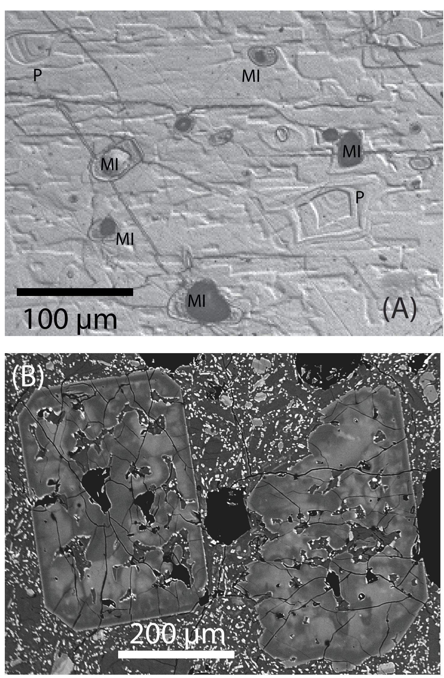 Two examples of patchy zoning. (a) nomarksi image of the