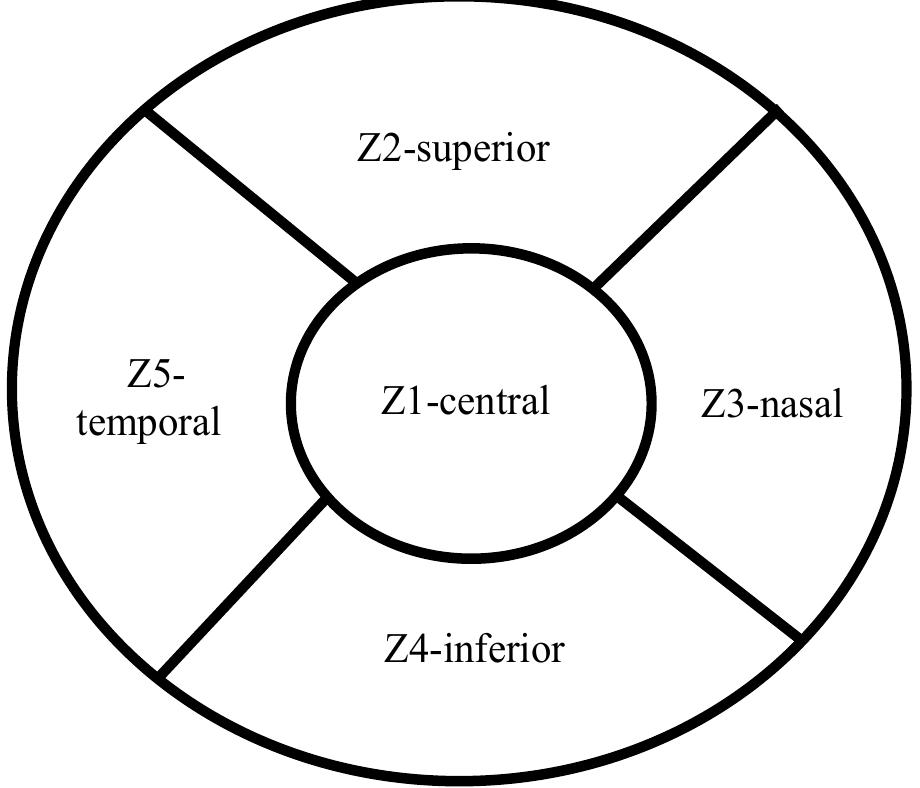 Five corneal zones for grading corneal staining the mean