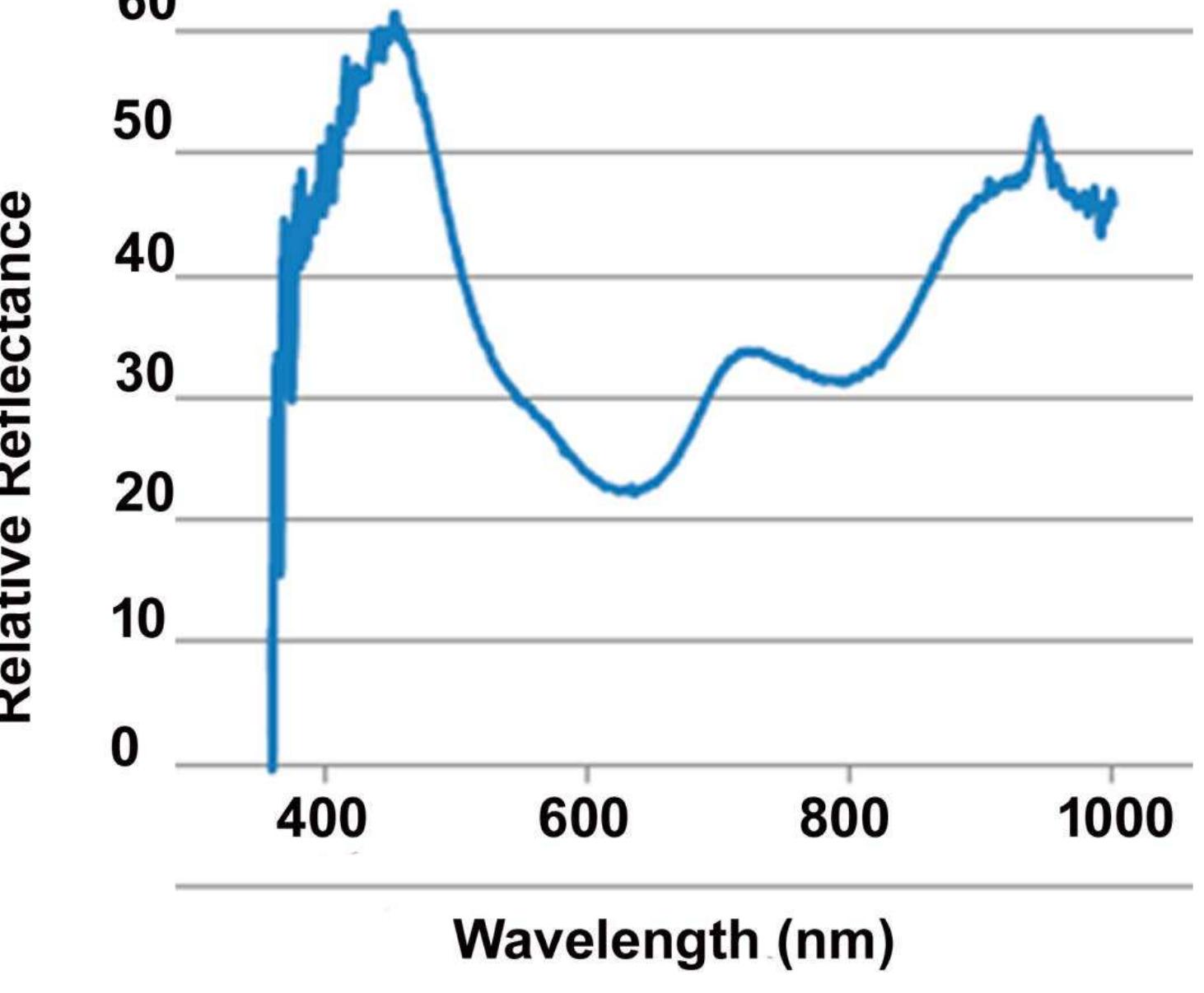 Reflectance spectrum of egyptian blue powder. figure 13